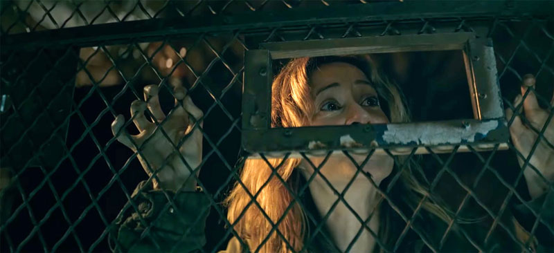 ‘La maldición de Shelby Oaks’ – Trailer 2 (VO)Trailers y Estrenos